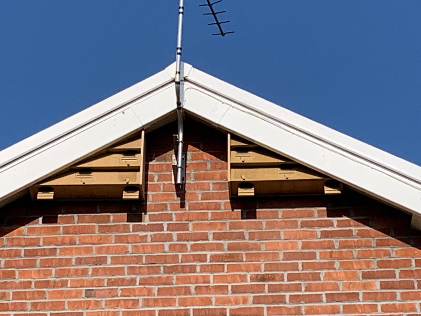 Projects – Glamorgan Bird Club