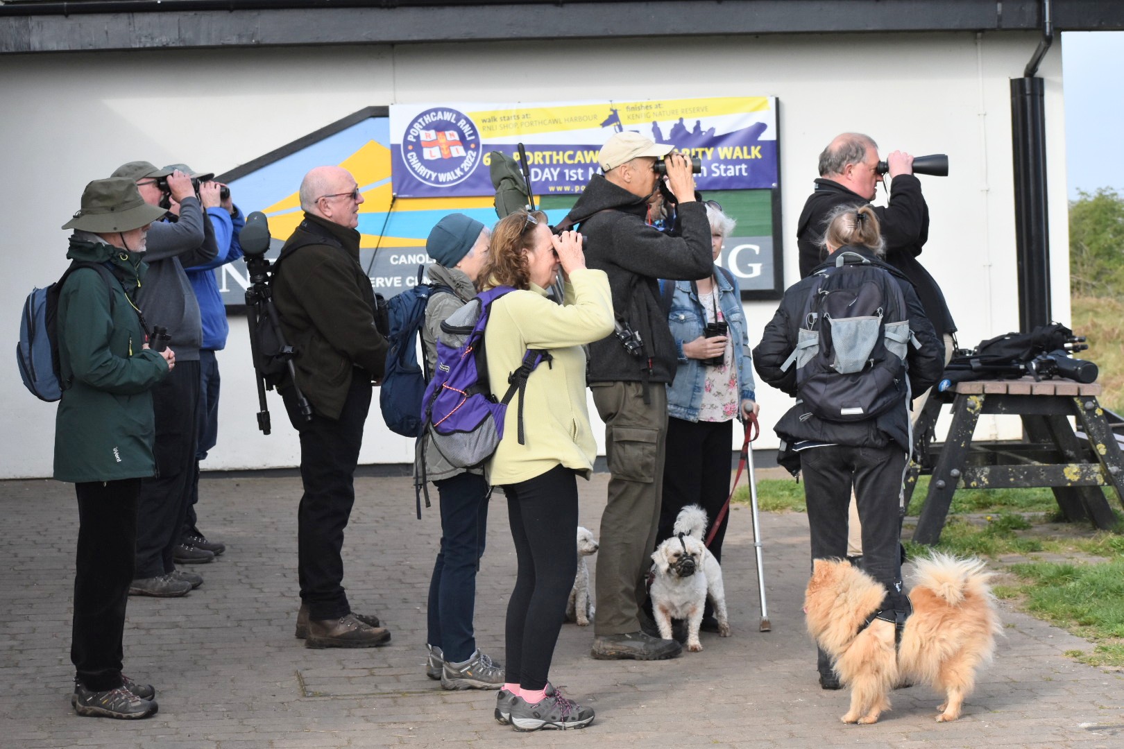 Kenfig NNR – Glamorgan Bird Club