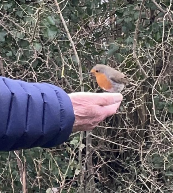 Cosmeston & Cardiff Bay – Glamorgan Bird Club